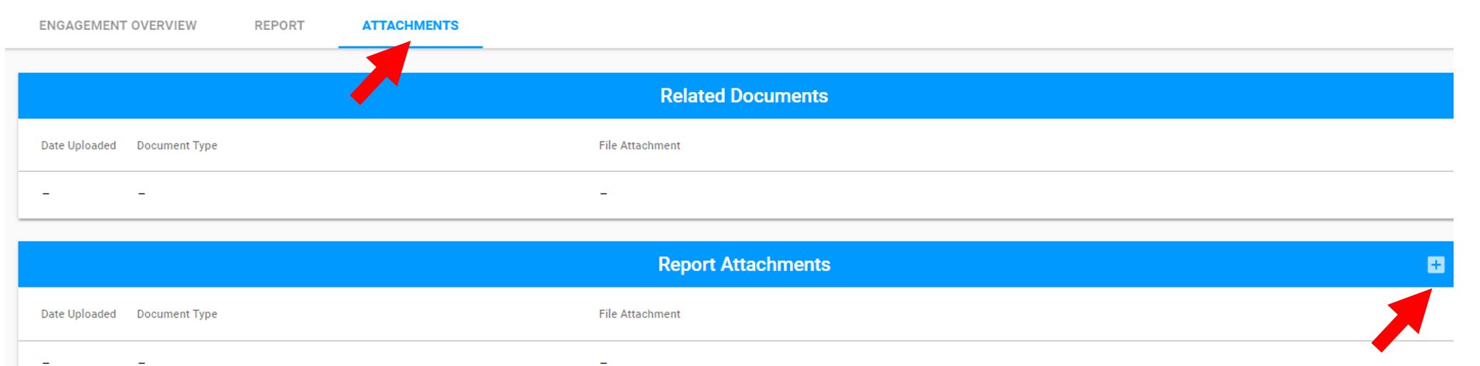 Complete Report for Engagement (Spot Check by UNICEF Staff) – eTools ...